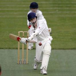 Cricket - Full Size Artificial Cricket Wicket Fully Installed (30m)